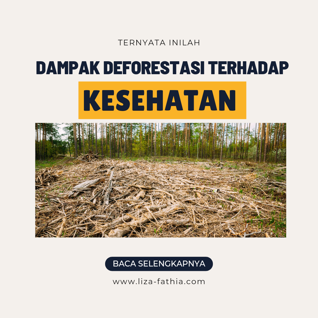 Ternyata Ini Lho Dampak Deforestasi Terhadap Kesehatan